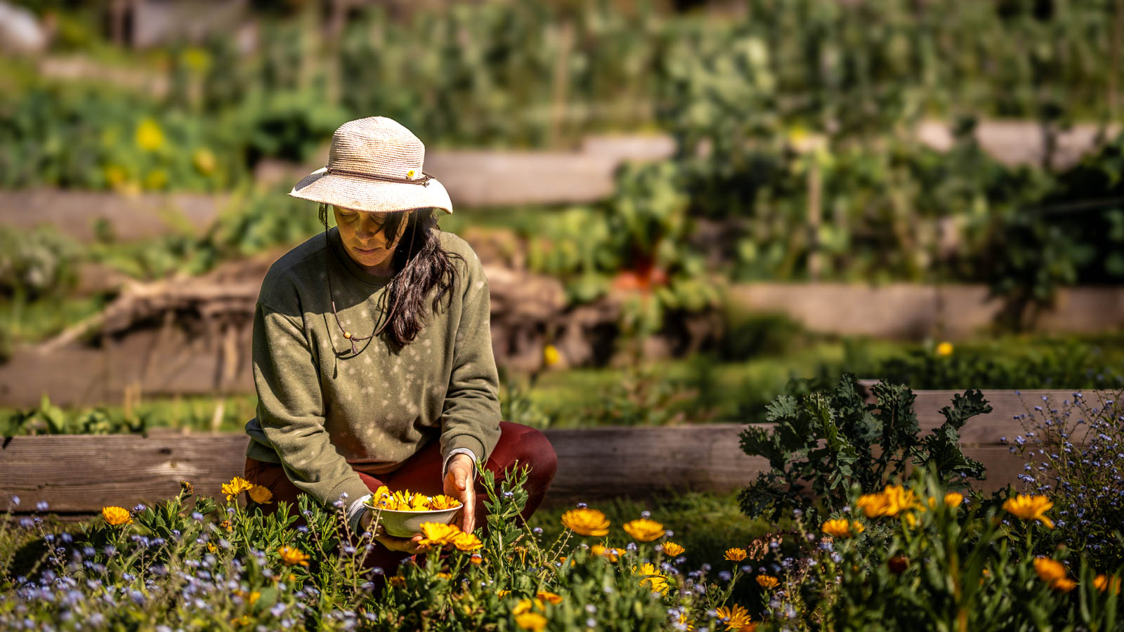 Biointensive Gardening in Your Backyard - Edible Mendocino & Lake Counties