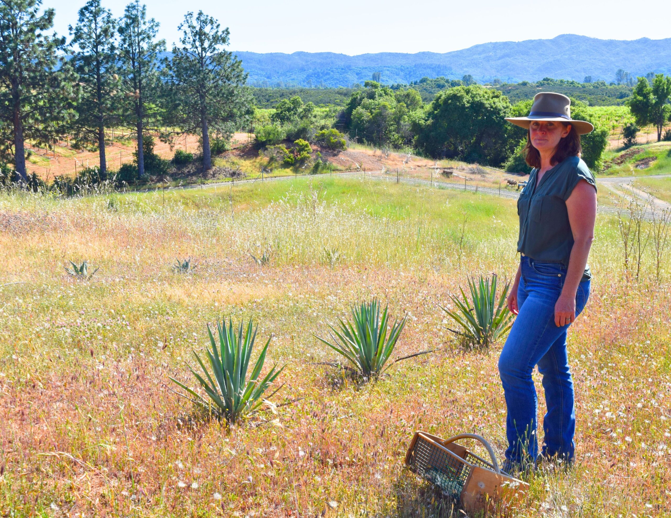 Finding Her Spirit - Edible Mendocino & Lake Counties